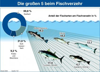 neu vom 29. Oktober 2006