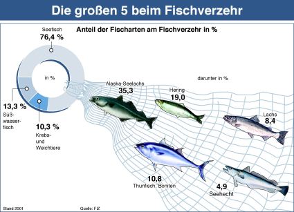 neu vom 5. Oktober 2002